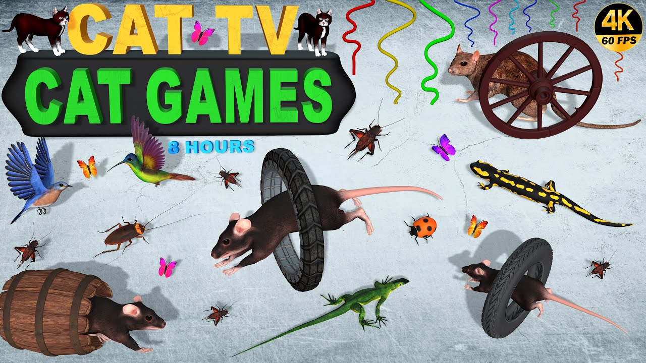 CAT GAMES OFFICIAL | ULTIMATE CAT ENTERTAINMENT VIDEOS FOR CATS TO ...