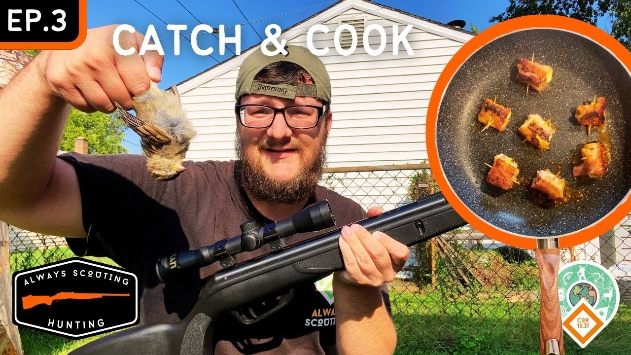Airgun Hunting House Sparrow (Catch & Cook) - Always Scouting Hunting ...