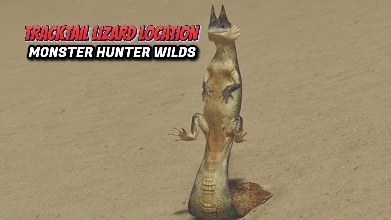 Tracktail Lizard Location in Windward Plains Monster Hunter Wilds - YouTube