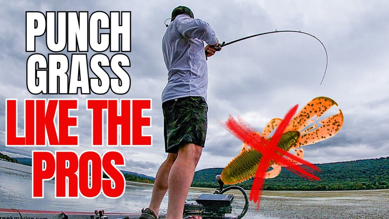 The ULTIMATE Technique for Fishing Grass(PUNCH GRASS LIKE THE PROS ...