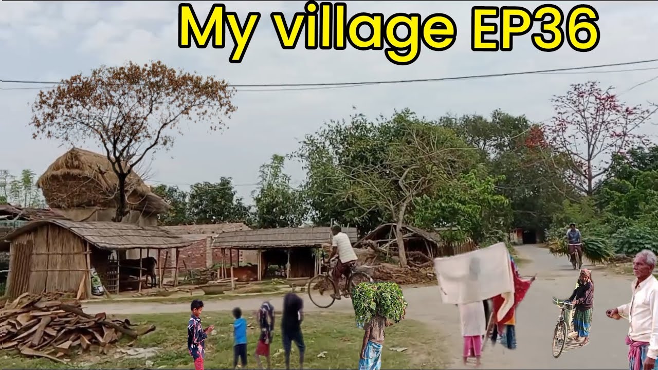 village life in West Bengal Murshidabad ll rural area and beautiful ...