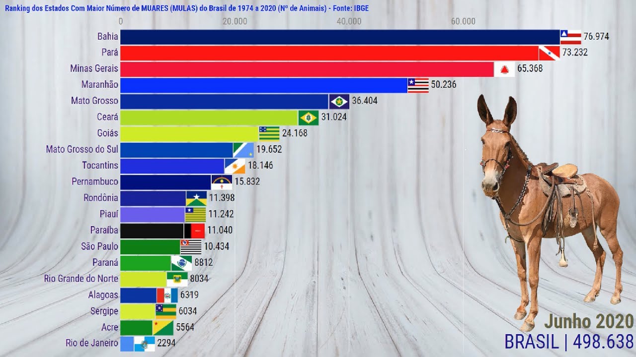 Muares | Ranking dos Estados Com o Maior Número de Mulas do Brasil ...