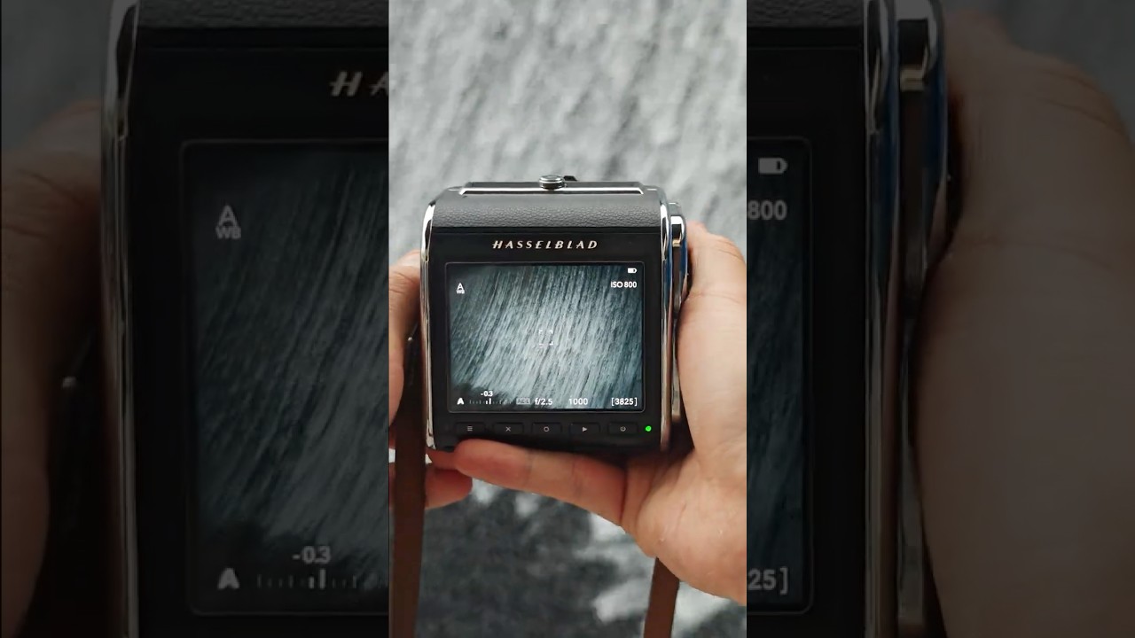 What 100MP Reveals Beneath the Water | Hasselblad 907X