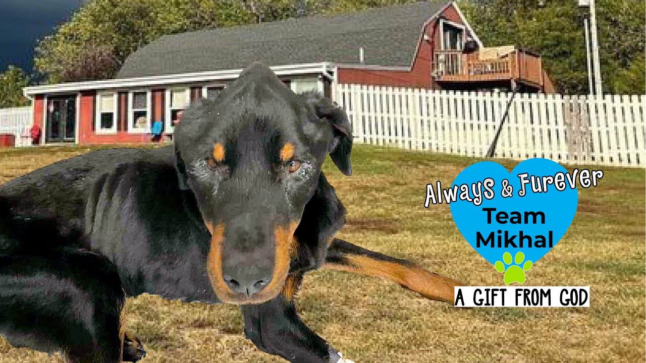 Team Mikhal - A Journey of Hope and Healing - YouTube