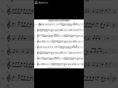 Deniz Üstü Köpürür Flüt Nota( 4 Saat )
