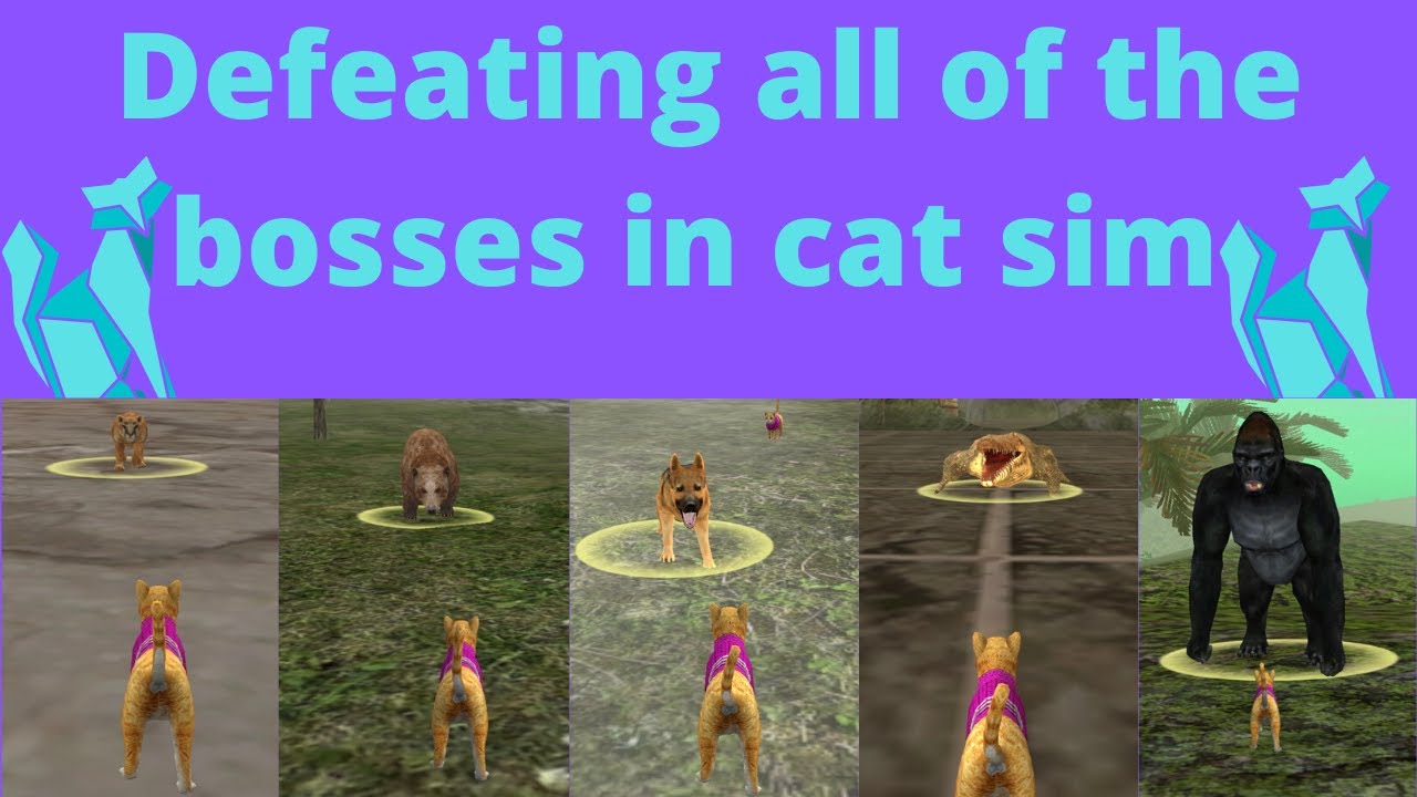 Defeating all bosses in Cat Sim Online - YouTube
