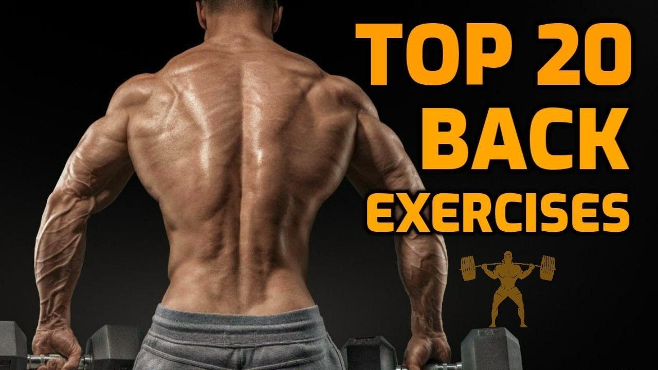 TOP 20 Back Exercises | Back Training Motivation - YouTube