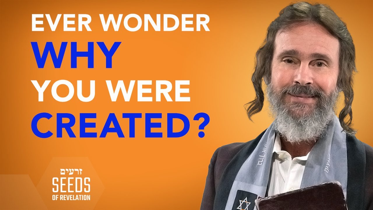 Ever Wonder Why You Were Created? - YouTube