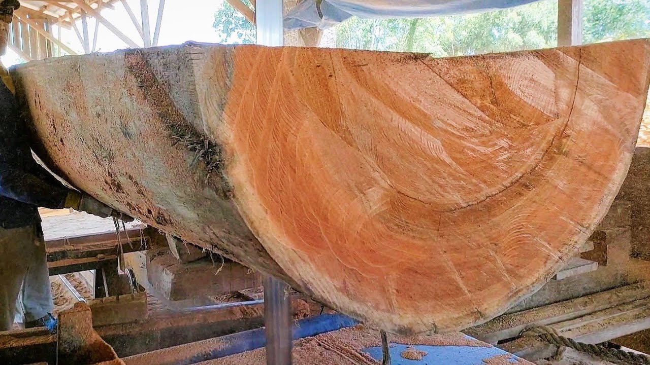 Cara operator menggergaji kayu Meranti merah super besar#bandsaw - YouTube