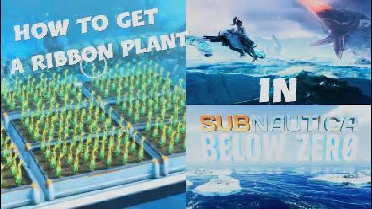 How to get a Ribbon plant in Subnautica Below zero - YouTube