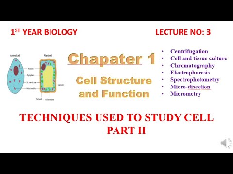 TECHNIQUES USED IN CELL BIOLOGY CLASS 11 | PART 2 | LEC 3 | TECHNIQUES ...