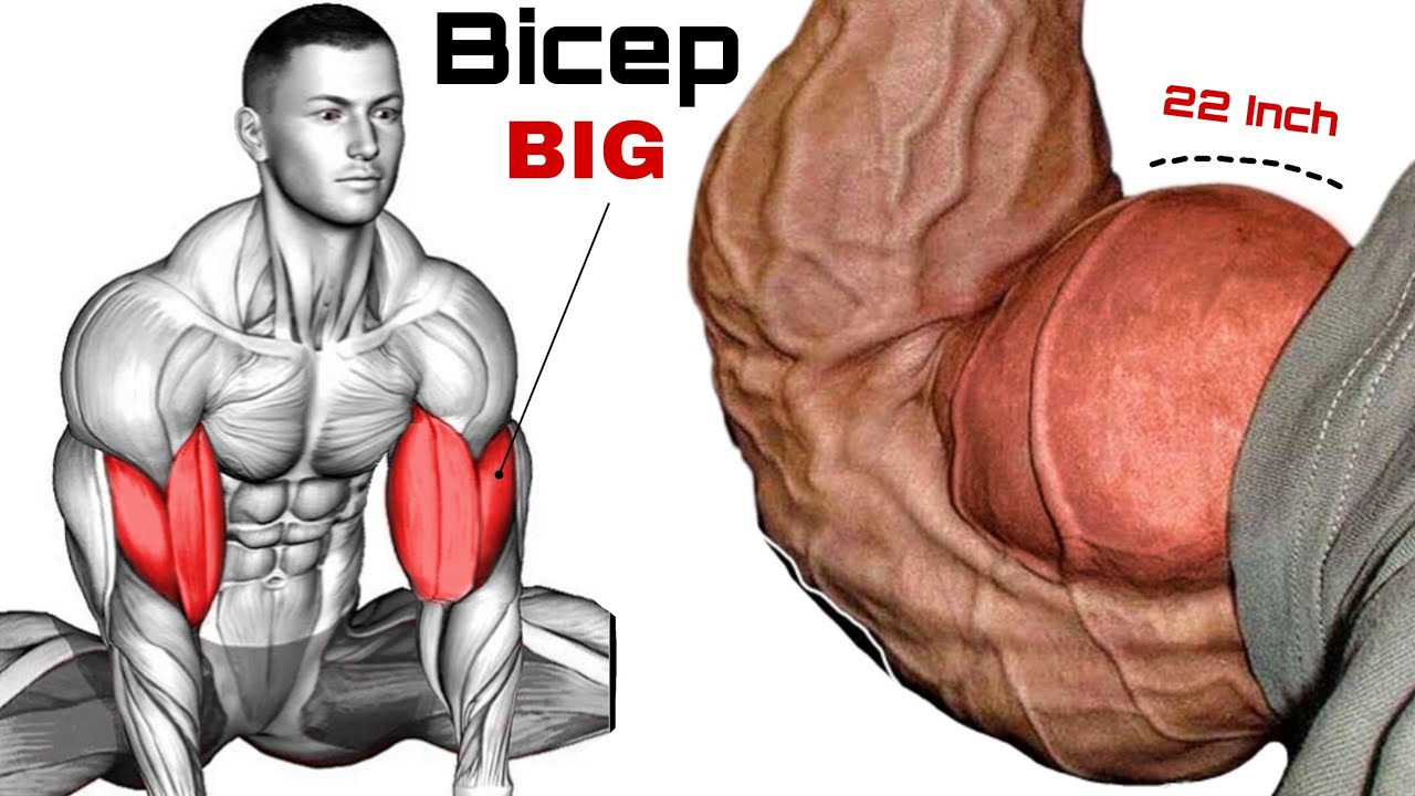 Best Biceps Workout at Gym for Men to Build Bigger Biceps - YouTube