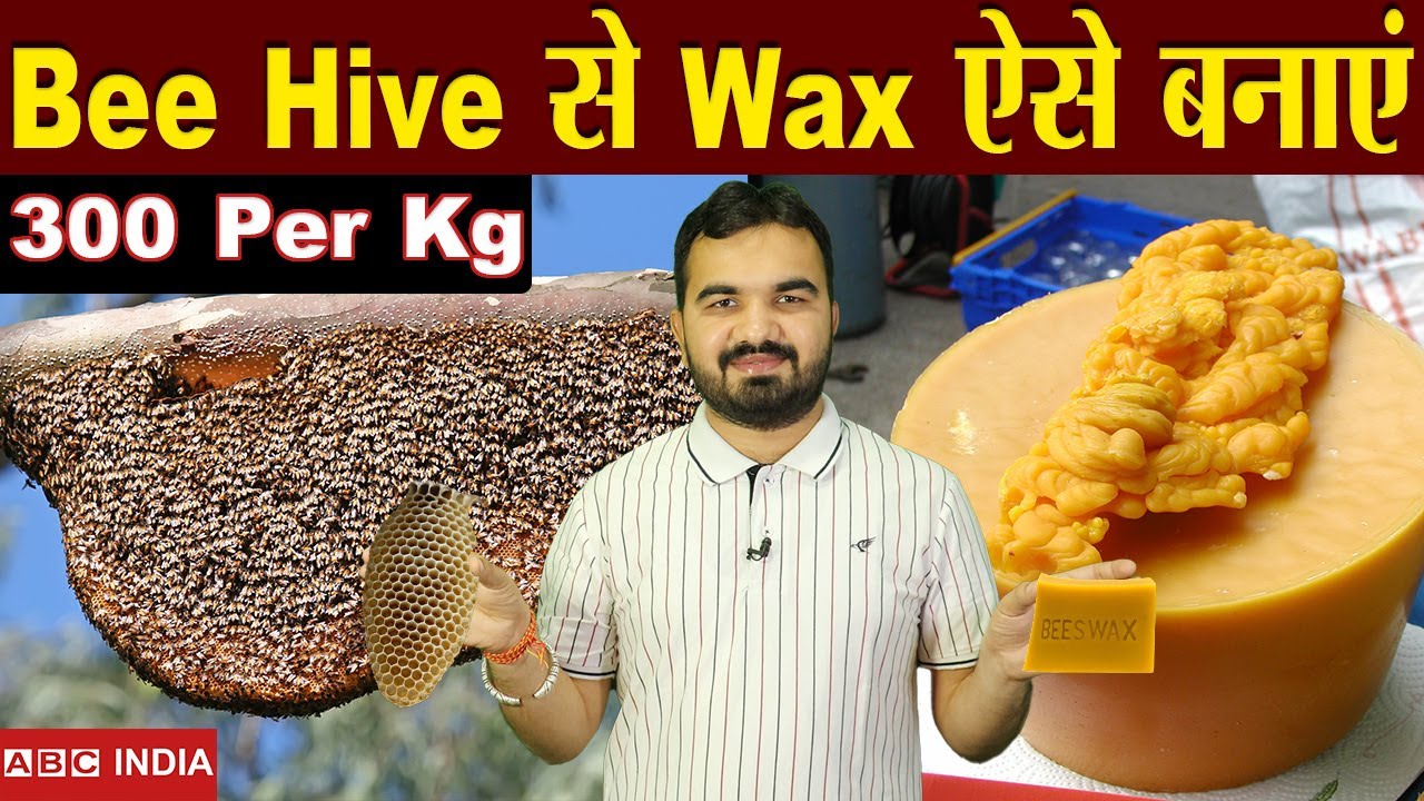 Bee wax ऐसे तैयार करें | How to render Bee Wax | Bee hive to bee wax ...