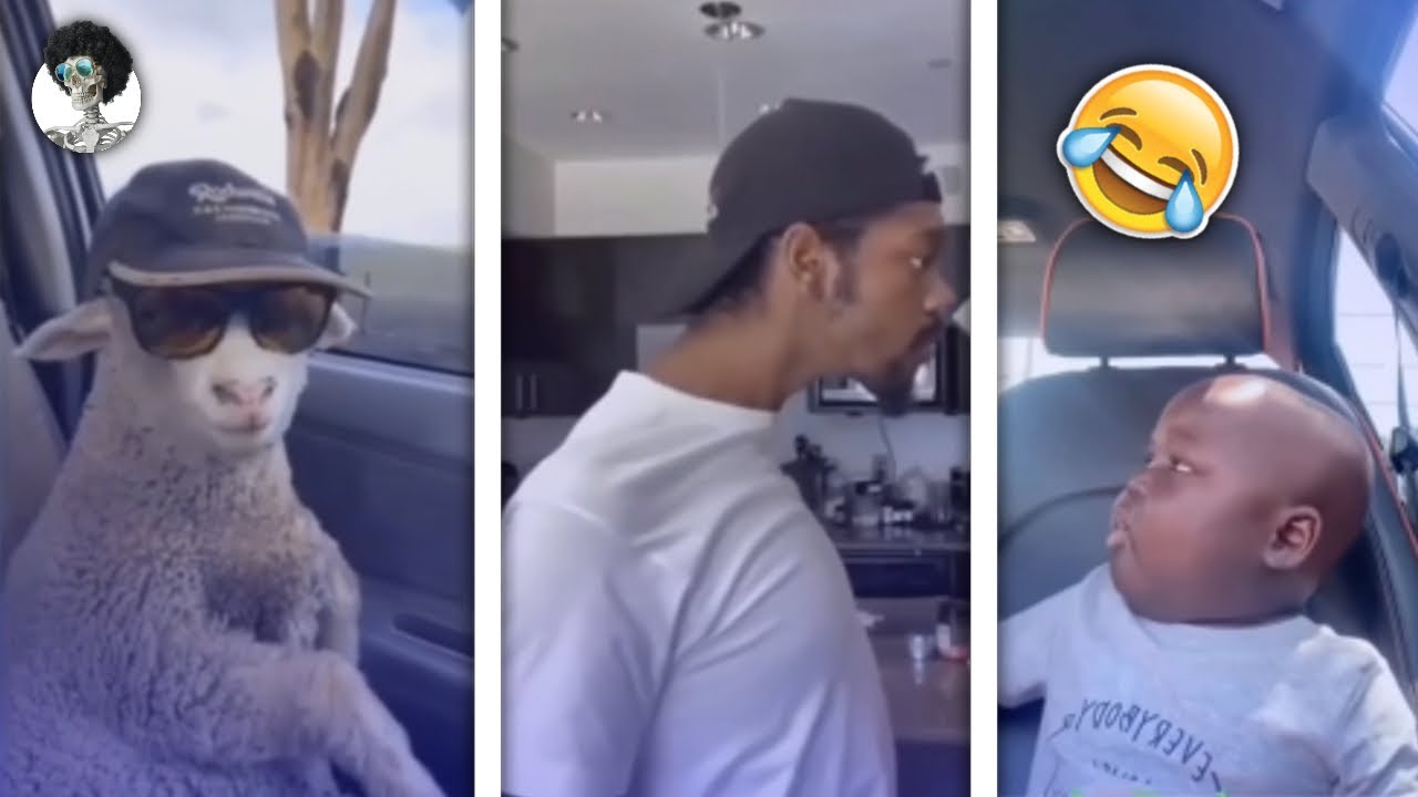 Try Not To Laugh Best Funny Videos Compilation If you laugh you lose ...