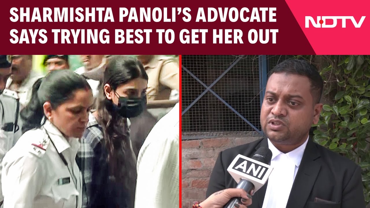 Sharmishta Panoli Case | Sharmishta Panoli's Advocate: “Trying To Get ...