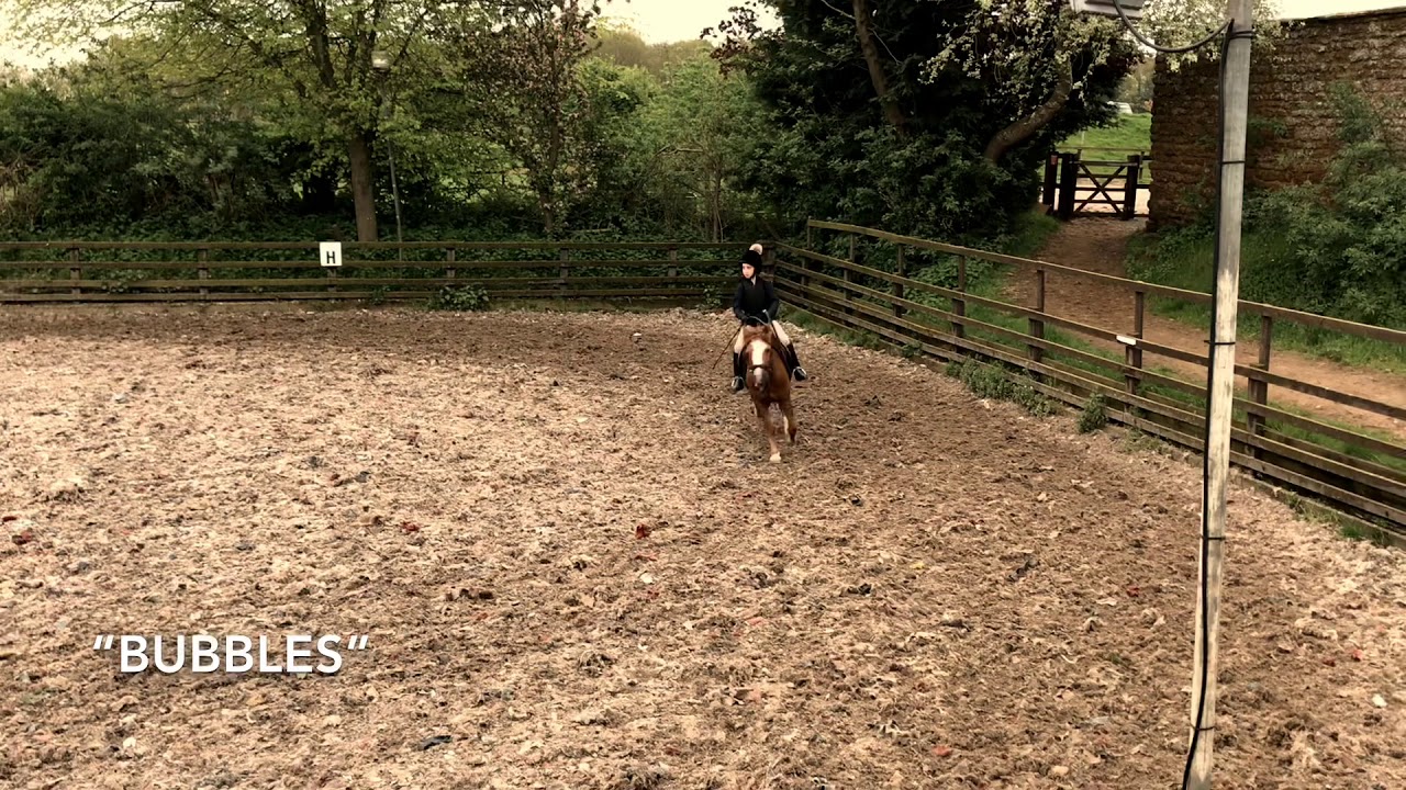 Little Saddles - Evie Green at East Lodge Riding School - YouTube