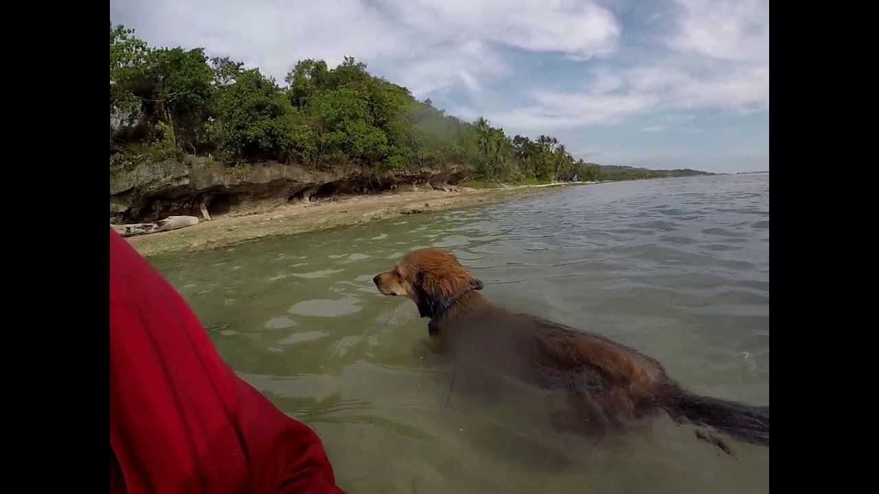 Bohol April 29, 2019 Basdacu Loon Exp - YouTube