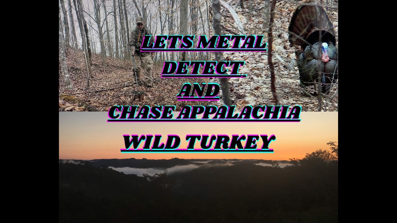 Let's Metal Detect and chase Appalachia Wild Turkey - YouTube