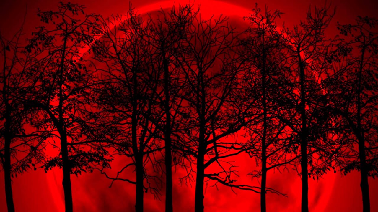 Seth (France) - The Infinite Corridor (2003) - YouTube