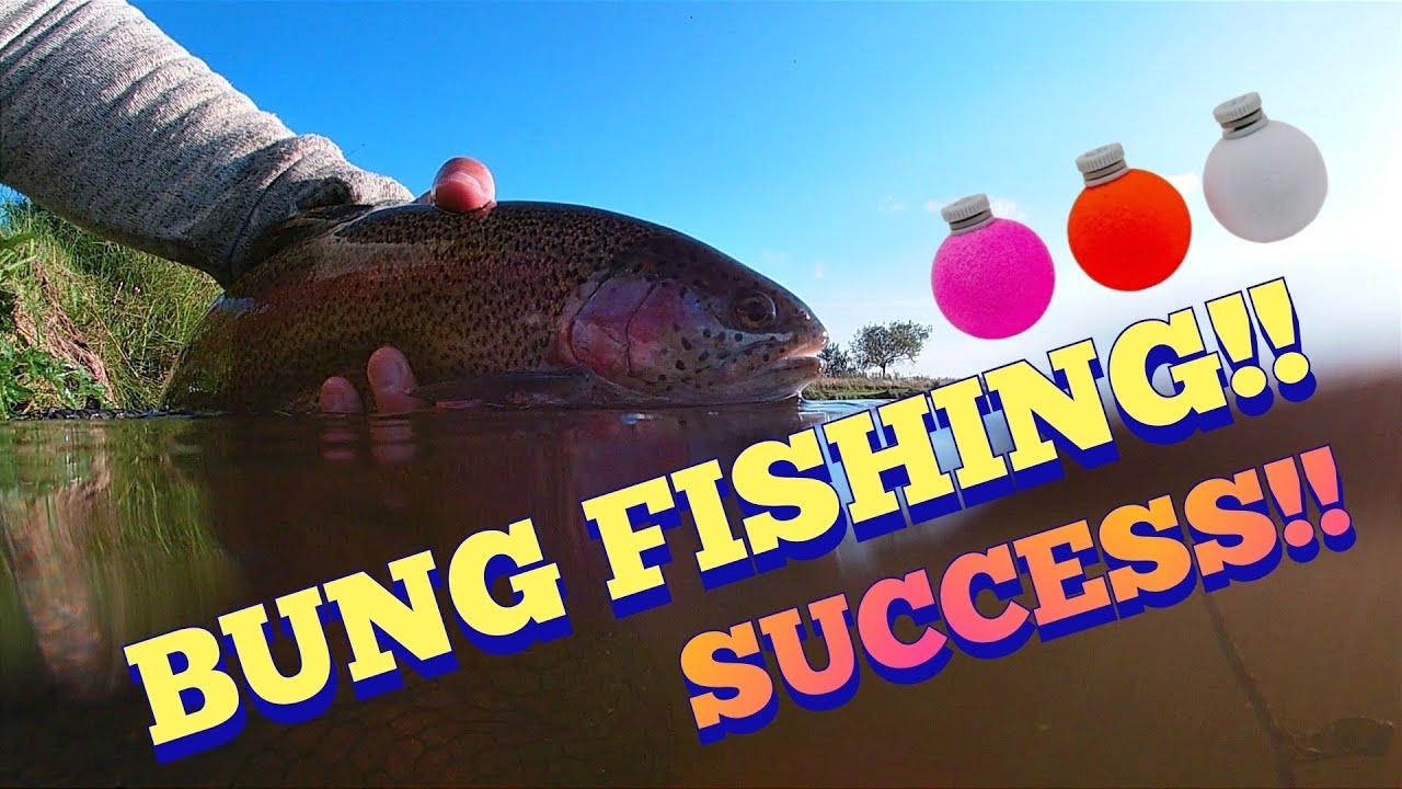 Stillwater Trout fishing Scotland 🏴󠁧󠁢󠁳󠁣󠁴󠁿 ... On the bung!! #flyfishing ...