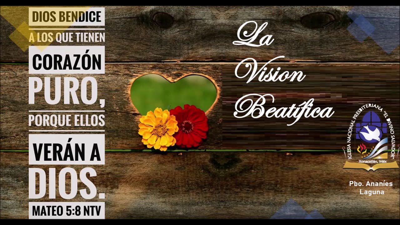 LA VISIIÓN BEATÍFICA - YouTube