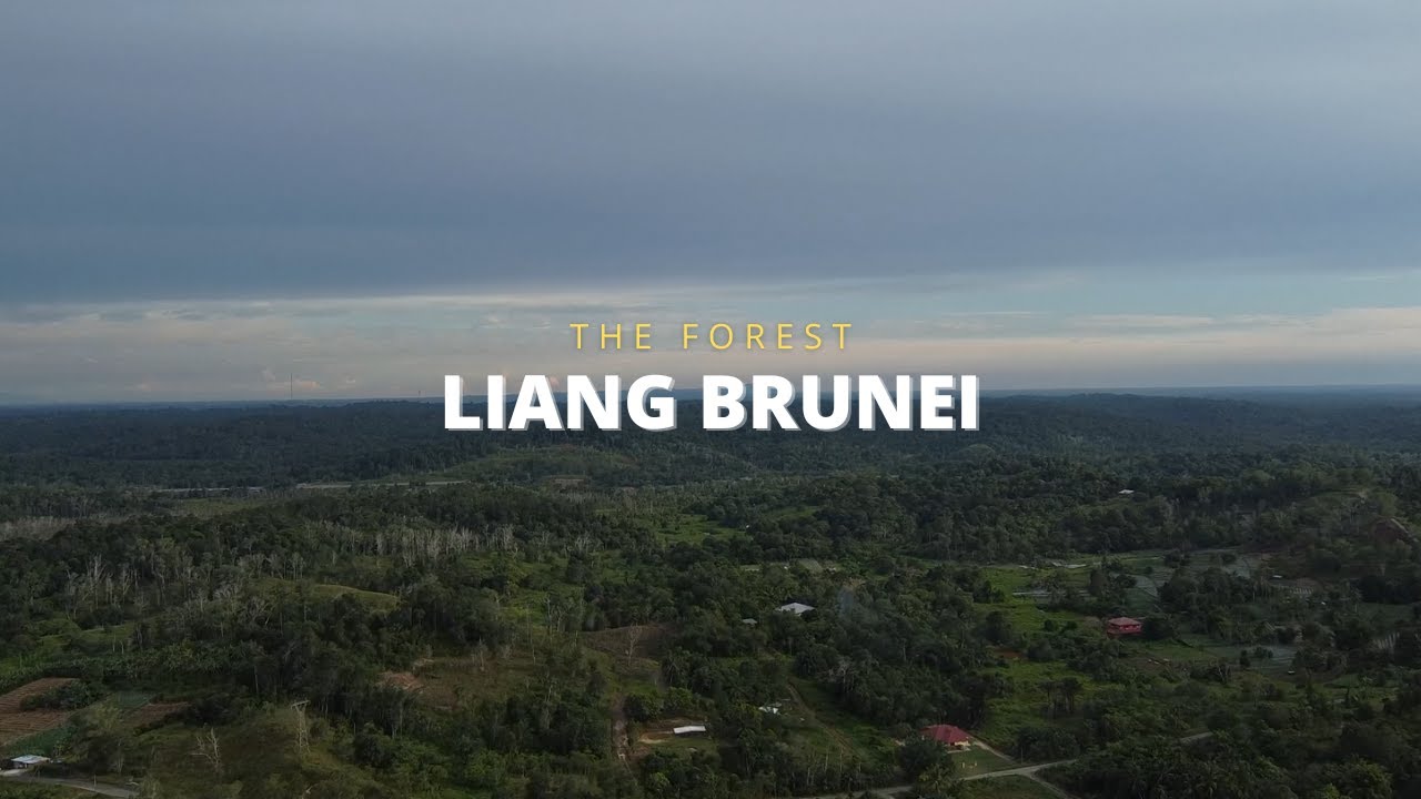 THE FOREST OF LIANG | BRUNEI | VLOG 2022 - YouTube