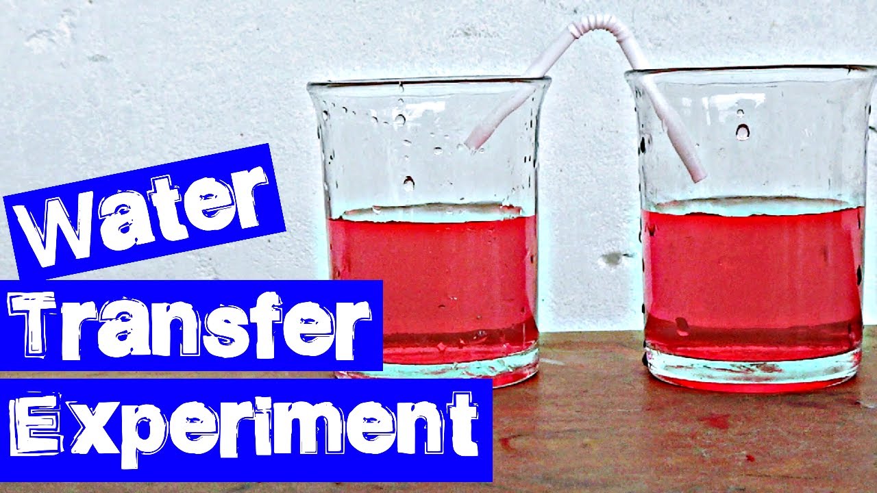 #CLoUDY_SCiENCE Water transfer experiment | transfer water from one ...