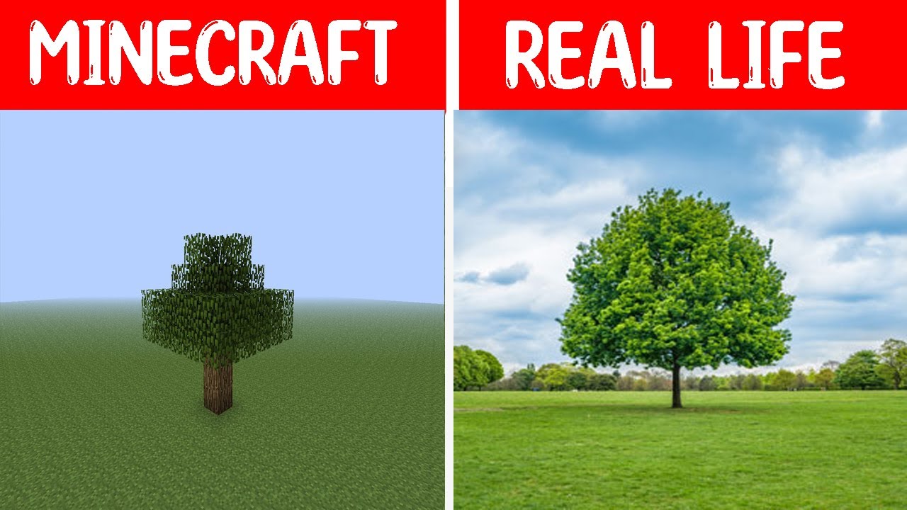 Minecraft tree vs realistic tree - YouTube