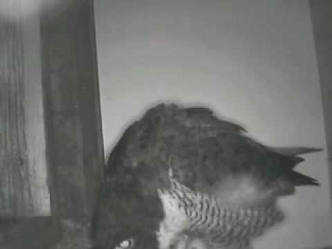 Night time rendezvous - YouTube
