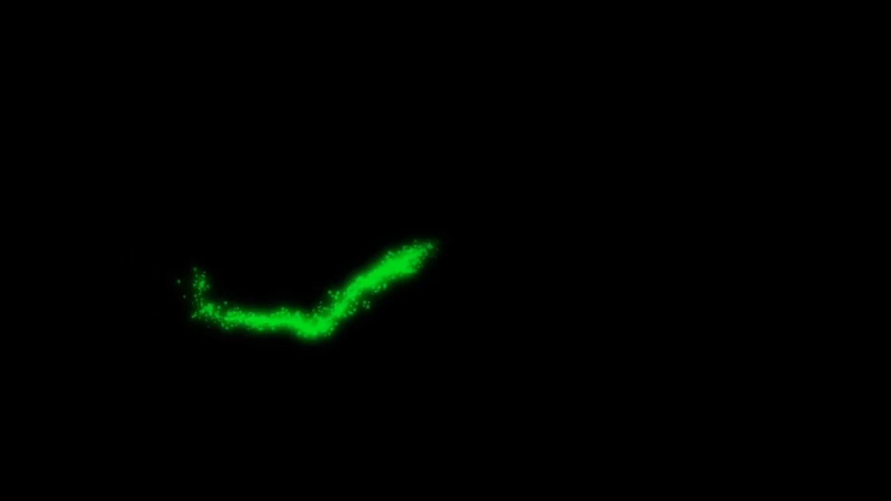 Alena sword effect - YouTube