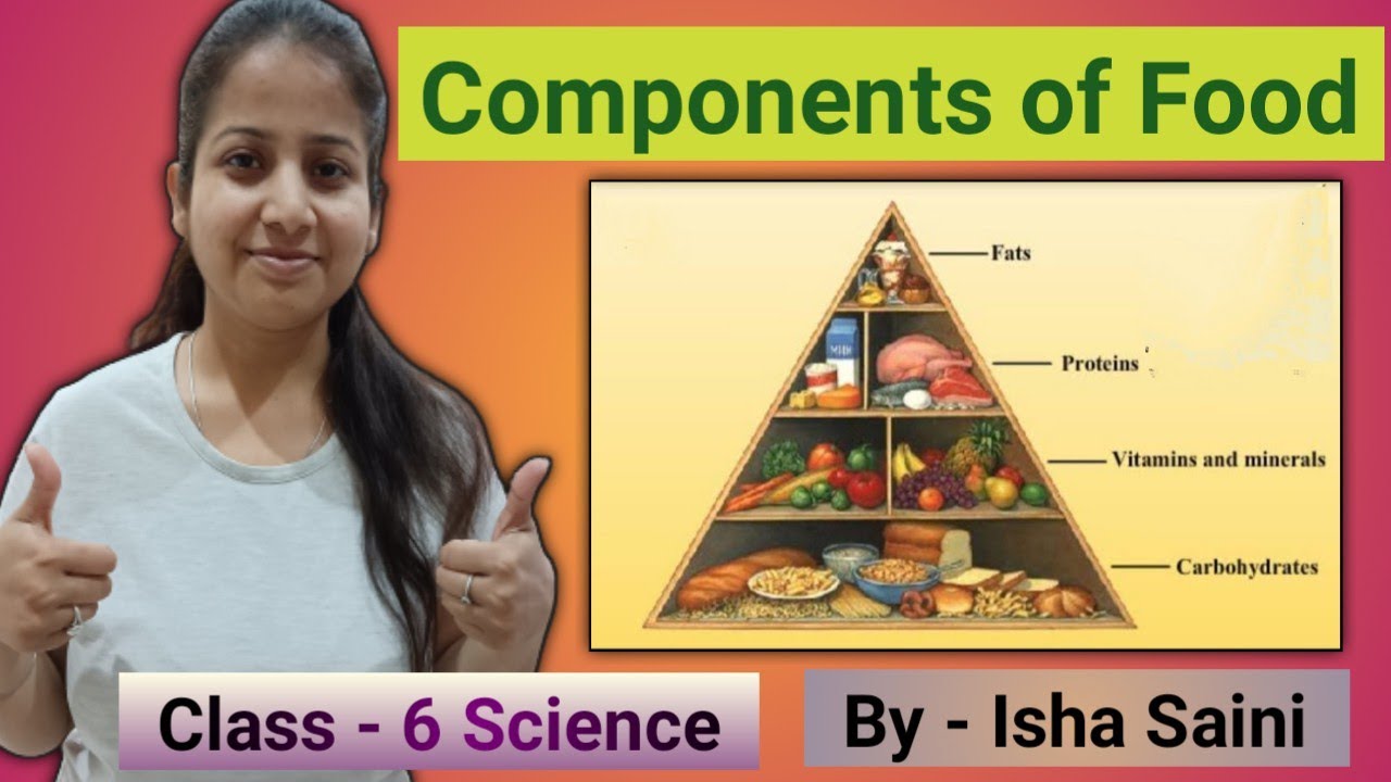 Components of Food / Full chapter 2 / Science class-6th full chapter ...
