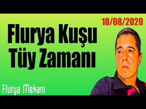 Flurya Mekanı - Flurya Tüy zamanı
