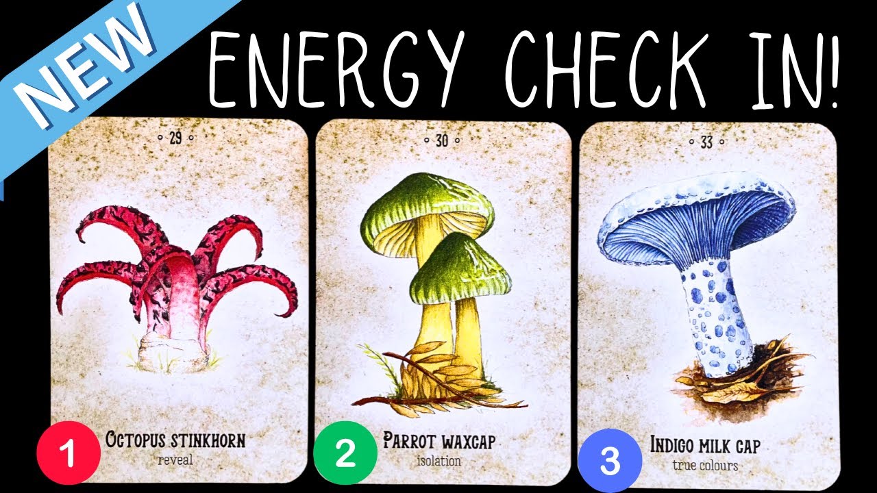 Energy Check In & Channeled Messages! 💌⭐️🕯️ PICK A CARD 🃏Timeless ...