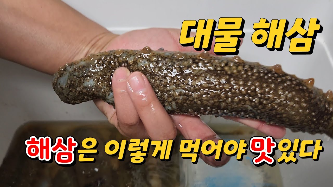 해삼을 더 맛있게 먹는 방법 Recipe for sea cucumber sashimi - YouTube
