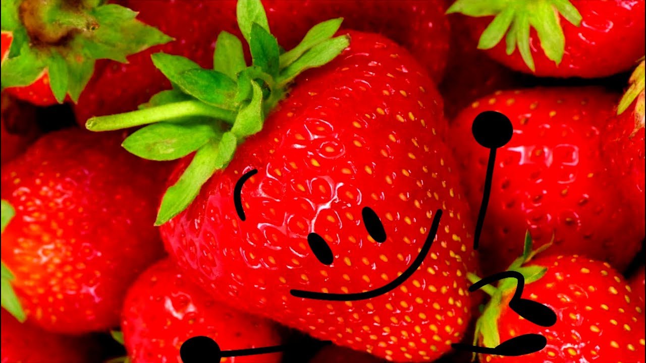 BFLH In Real Life! - YouTube