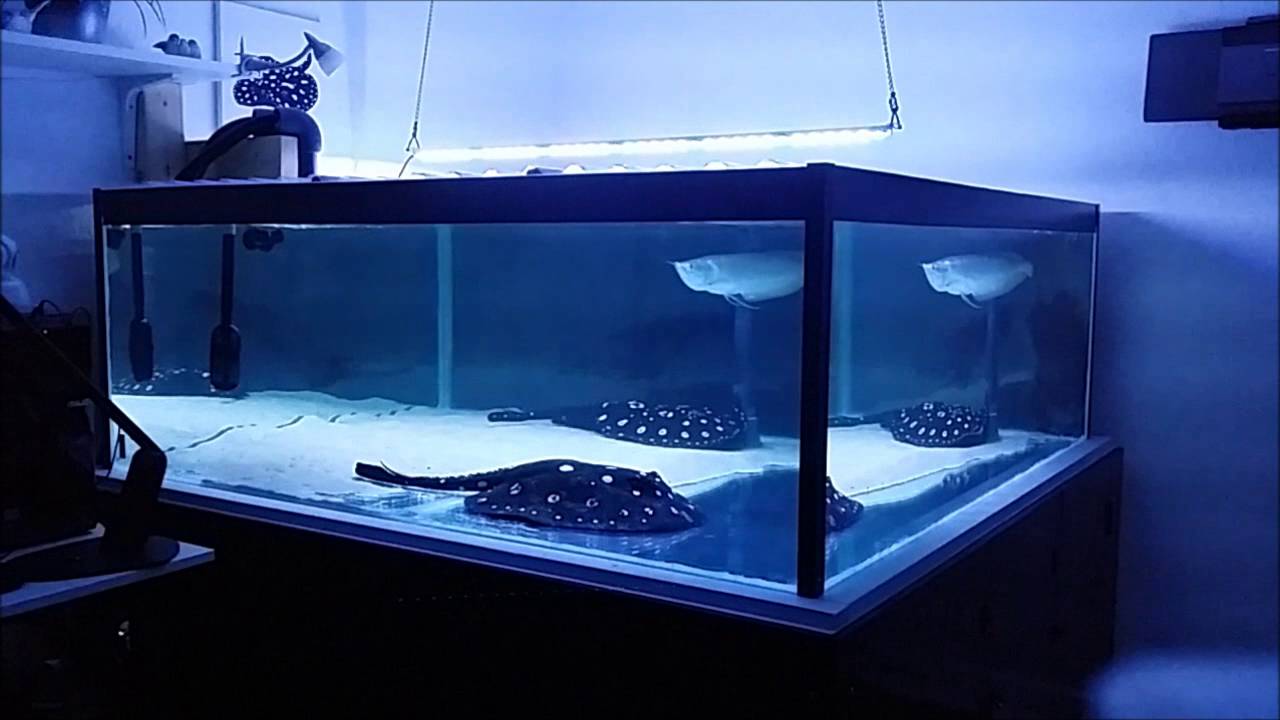 JMB LED Controller - YouTube