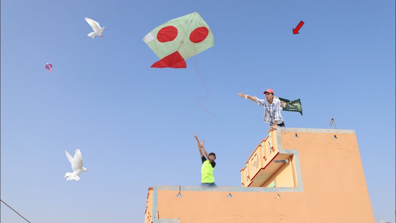 Kite Cut Vs Beautiful 😍 Gudda Fight Challenge | Gudda - YouTube