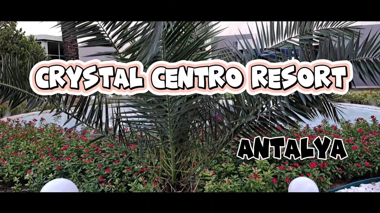 Crystal Centro: Your Destination for Unforgettable Moments - YouTube