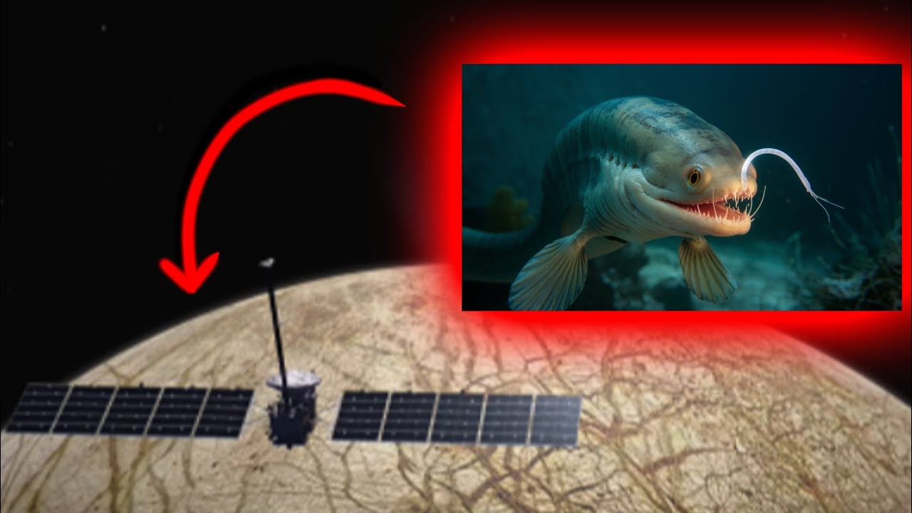 ""AI Unveils Stunning Alien Sea Creatures Designed for Europa Moon's ...