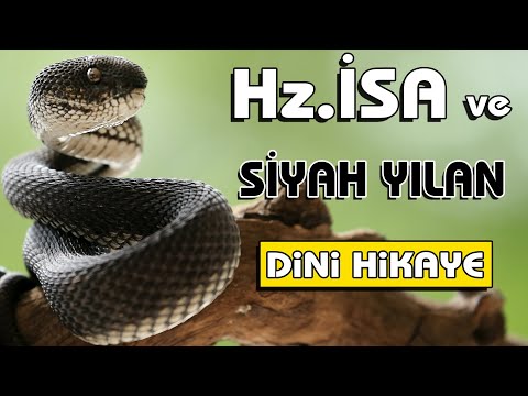 Hz  İsa ve Siyah Yılan Hikayesi | İyiliğin Önemi | Dini Hikayeler