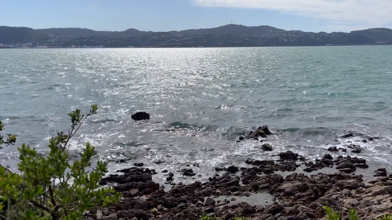 1 hour relaxation - Sounds of the wind and sea at Point Halswell ...