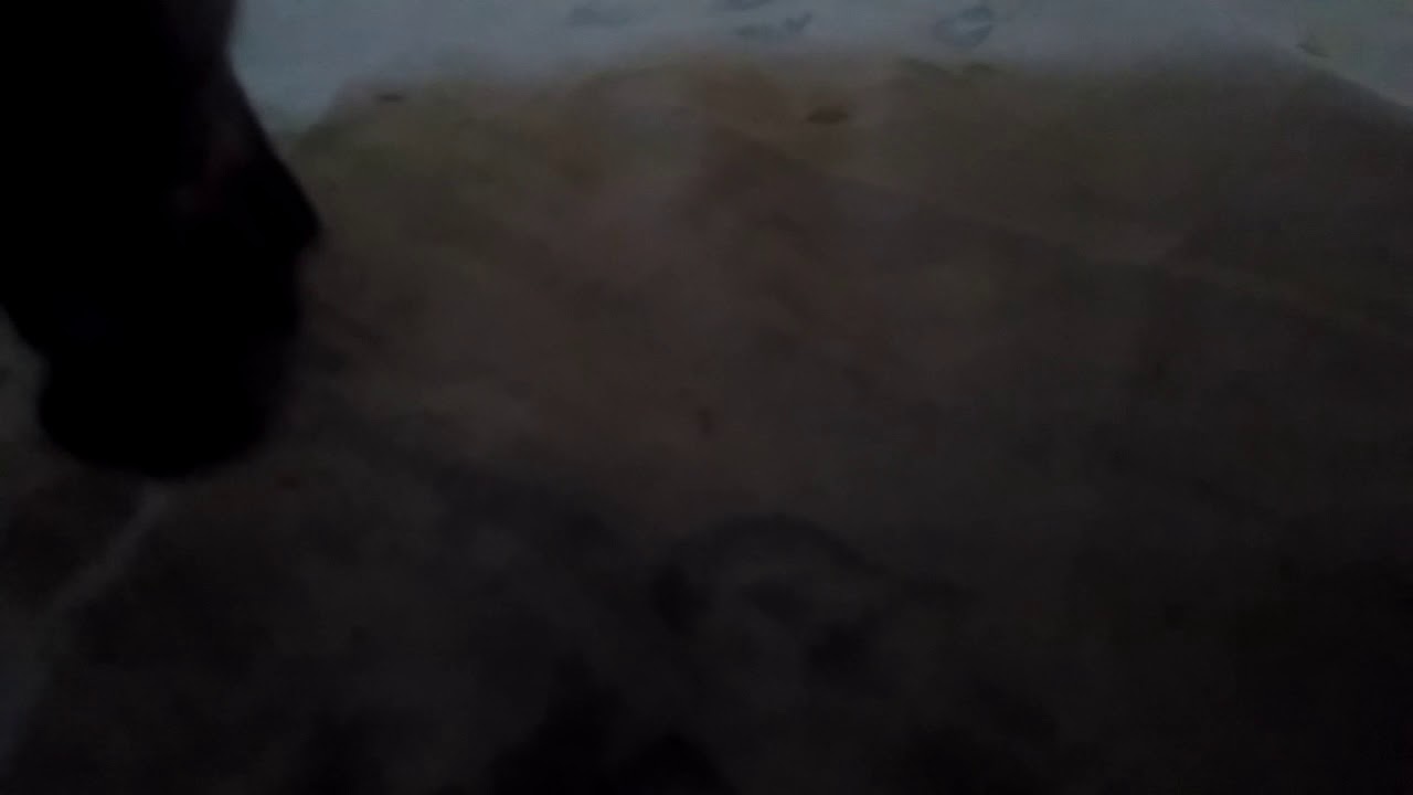 Giovani video time-saw 4:classroom trap - YouTube