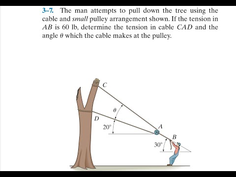 Statics 3.7 - The man attempts to pull down the tree. Determine the ...