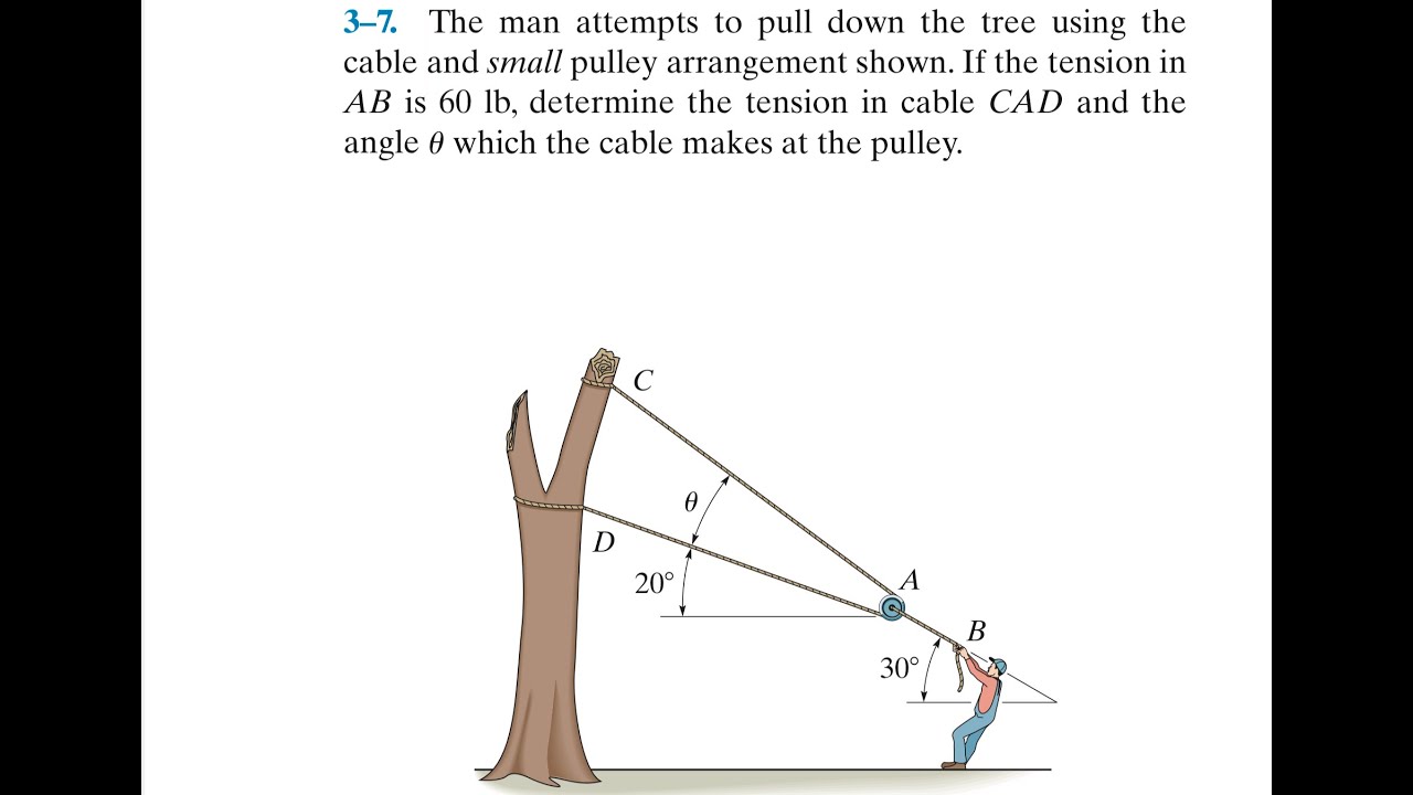 Statics 3.7 - The man attempts to pull down the tree. Determine the ...