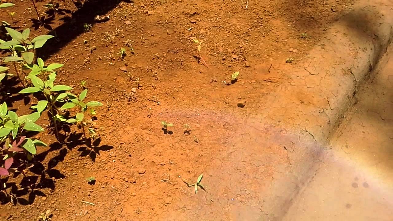 Water spray rainbow - YouTube