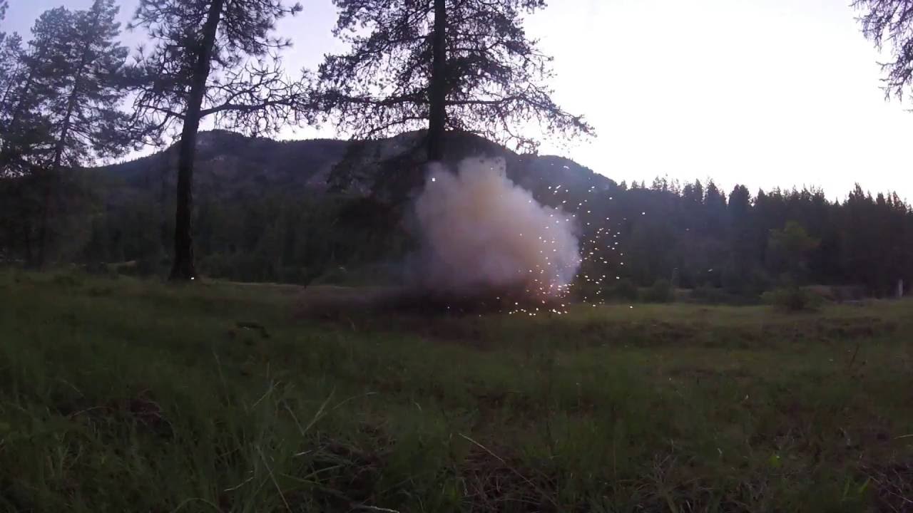 Tannerite/ Exploding Target vs Tree - YouTube
