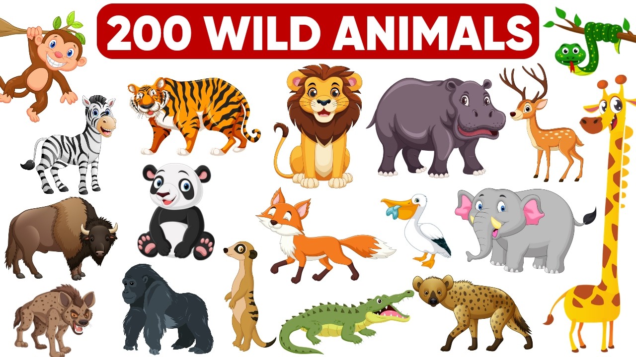 200 Wild Animals In English | Learn Animals Name In English With ...