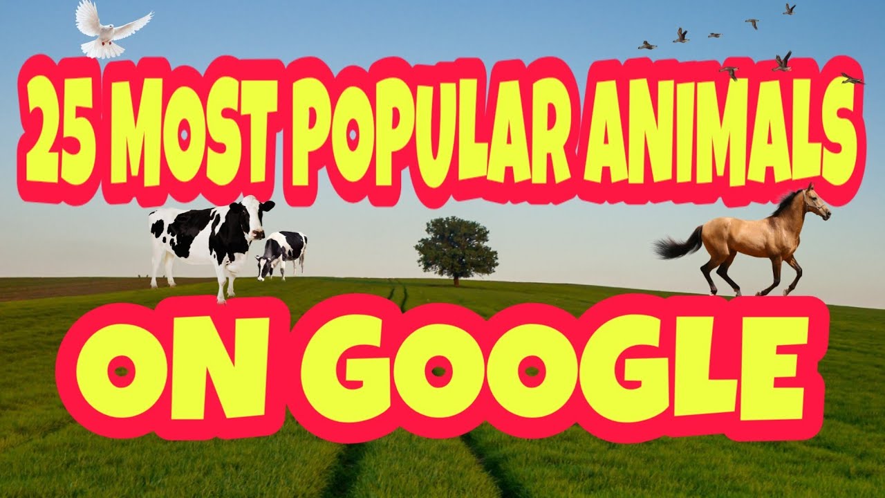 25 MOST POPULAR ANIMALS ON GOOGLE | KNOW THEM ALL - YouTube