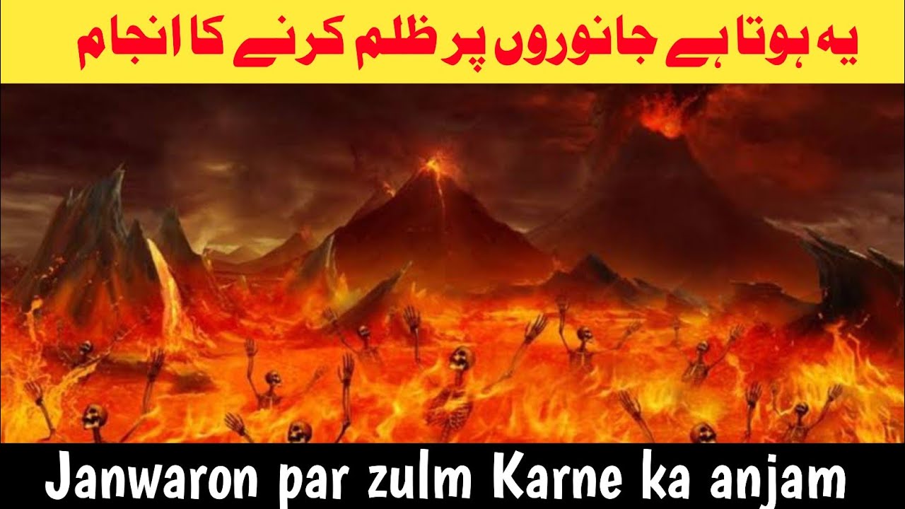 yeh-Hota-Hai-janwaron-par-zulam- Karne-ka-anjam - YouTube
