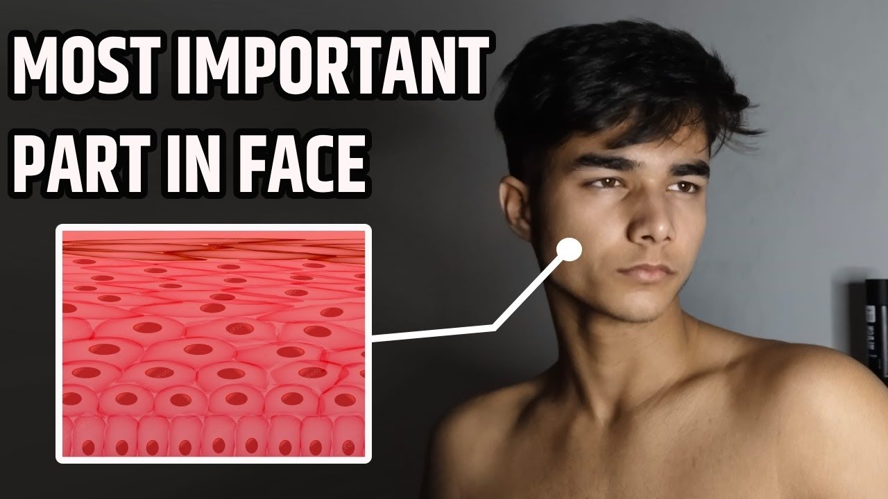 Your Skin Is The Most IMPORTANT Part Of Your Face (5 Tips To Improve ...